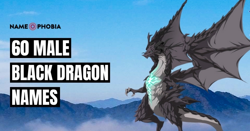 140+ Best Black Dragon Names for Males and Females
