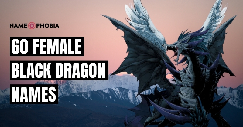 140+ Best Black Dragon Names for Males and Females