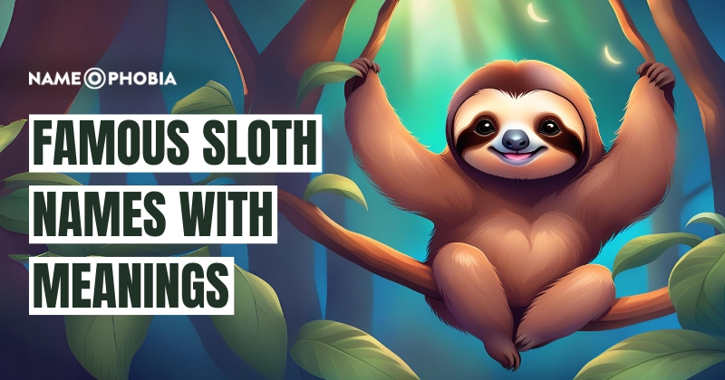 Top Sloth Names: 320+ Cool With Meanings