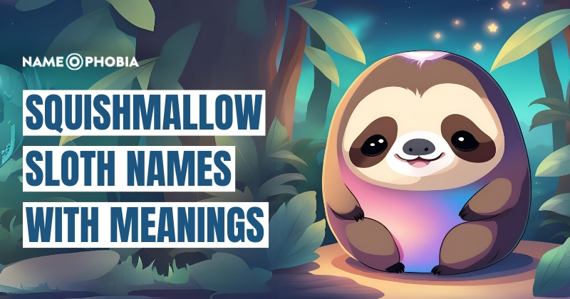 Top Sloth Names: 320+ Cool With Meanings