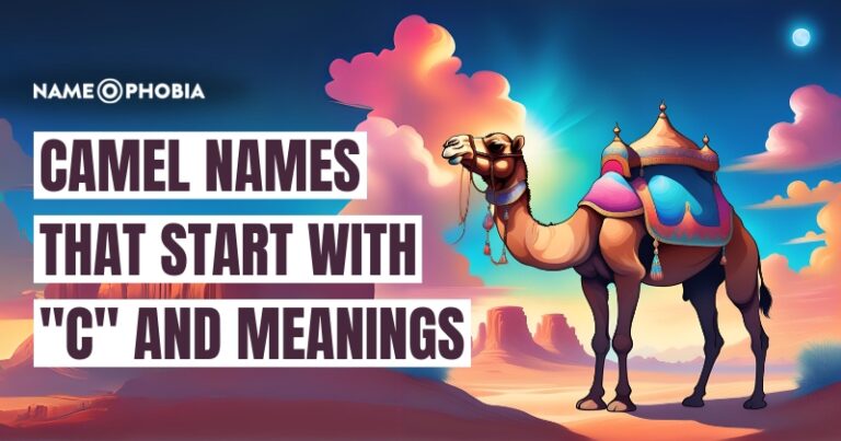 Top 300+ Camel Names - Cool & Funny with Meanings