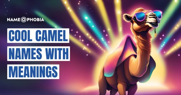 Top 300+ Camel Names - Cool & Funny with Meanings