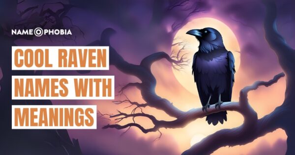 Top 300+ Raven Names - Cool & Badass With Meanings