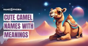 Top 300+ Camel Names - Cool & Funny with Meanings