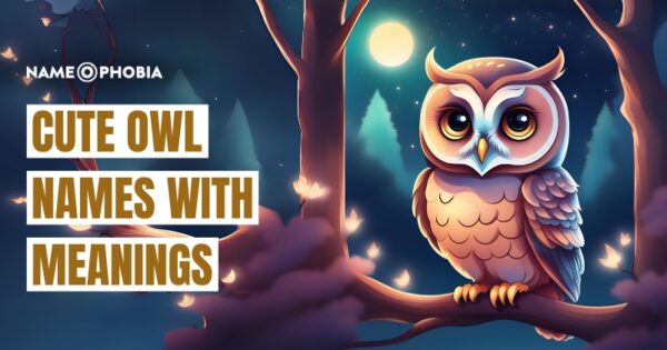 Top 320+ Unique Owl Names Funny, Cute With Meanings