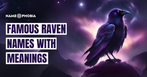 Top 300+ Raven Names - Cool & Badass With Meanings